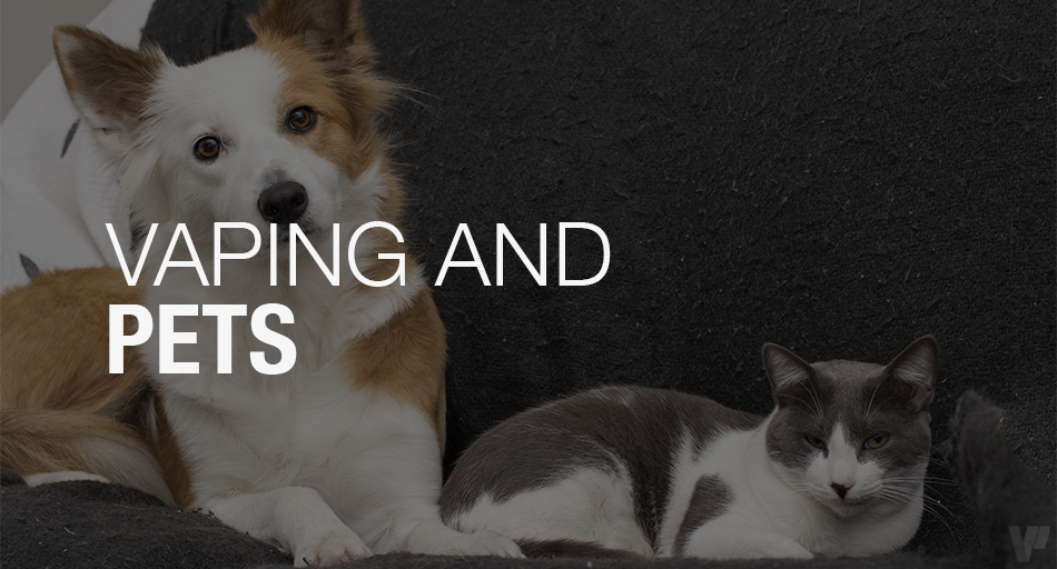 Vaping and our pets - Vaping Post