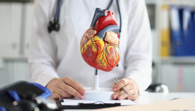 The Relationship Between Vaping and Heart Health - The Latest Research ...