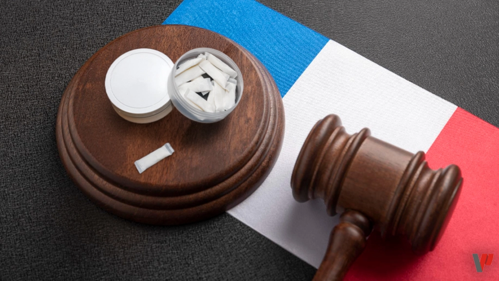 France's Criminilization of Nicotine Pouches Raises Questions Over ...